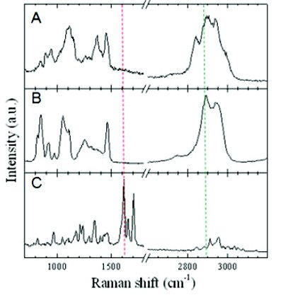Chemical Imaging of Solid Dosage Forms based on Stimulated Raman ...