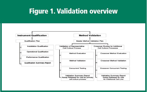Microbial Detection in Mammalian Cell Culture Systems | American ...