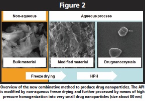 Nanotechnology: Particle Size Reduction Technologies in the ...