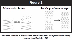 Particle Engineering for Pulmonary Dosage Forms | American ...