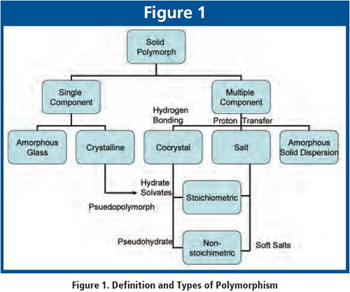 Salt and Polymorph Selection Strategy Based on the Biopharmaceutical ...