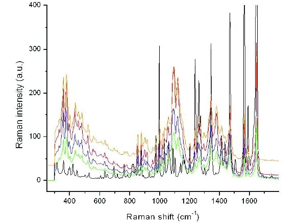 Application of Raman Spectroscopy in Establishing Solid Form Integrity ...