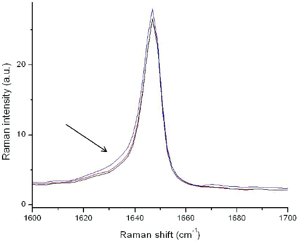 Application of Raman Spectroscopy in Establishing Solid Form Integrity ...