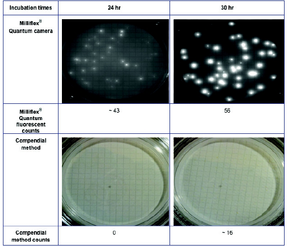 Milliflex® Quantum – Detection of Microbial Contaminants in Water ...