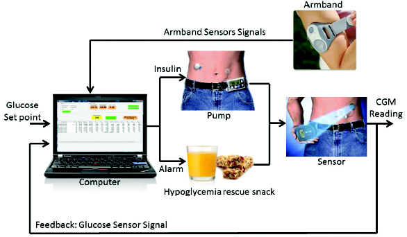 Modeling and Control of Biological Systems: Applications in Tissue ...