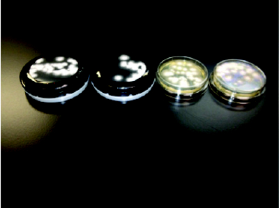 Comparison of Rapid Micro Biosystems Environment Monitoring Cassette ...