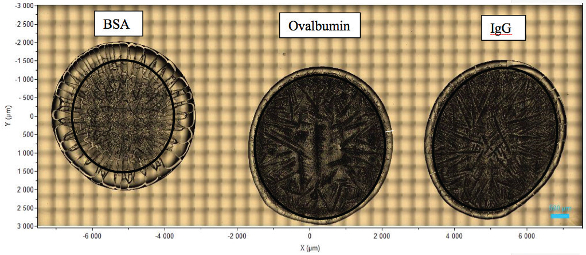 Raman Spectral Fingerprinting For Biologics Counterfeit Drug Detection ...