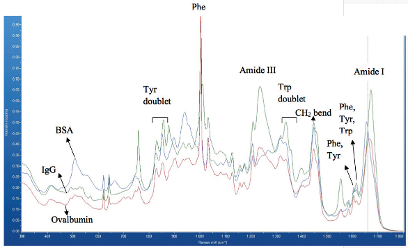 Raman Spectral Fingerprinting For Biologics Counterfeit Drug Detection ...