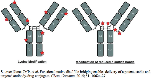 Antibody-Drug Conjugates: A New Paradigm for Cancer Treatment Part II ...