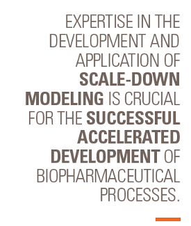 Enabling Right-First-TimeTech Transfer with Effective Scale-down ...