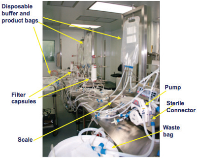 Advances in Purification Technologies Accelerate Vaccine Development ...