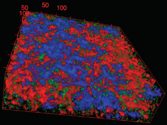 Advances in 3D Raman Imaging: Tablet Microstructure | American ...