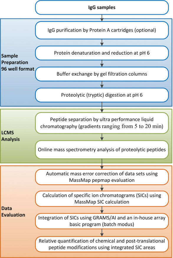 Multi-Attribute Monitoring of Antibody Modifications by Semi-Automated ...