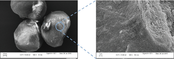 Drug Nanocrystal Technologies for Oral Drug Delivery | American ...