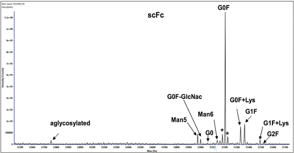 Glycosylation: A Critical Quality Attribute for Biopharmaceutical ...