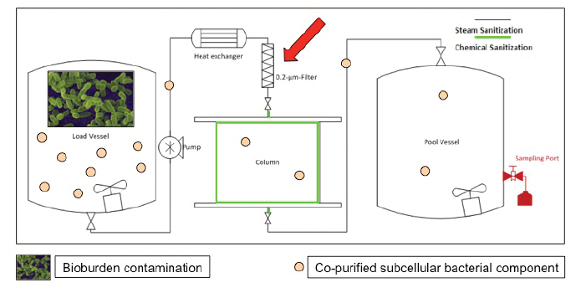 Biologics Production: Impact of Bioburden Contaminations of Non-Sterile ...
