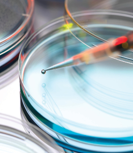 Why Consider a Lipid-Based Drug Delivery System (LBDDS)? | American ...