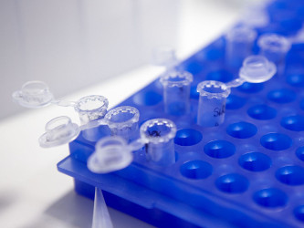 Medivir Initiates Study of Birinapant in Combination with KEYTRUDA ...