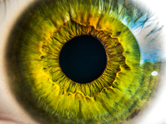 Perrigo Receives Tentative FDA Approval for Generic Prolensa | American ...