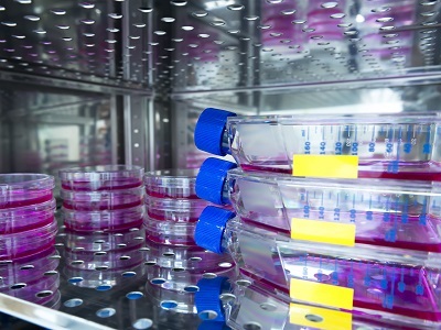 Comparison between the Microbiological Testing Methods in the 2015 ...