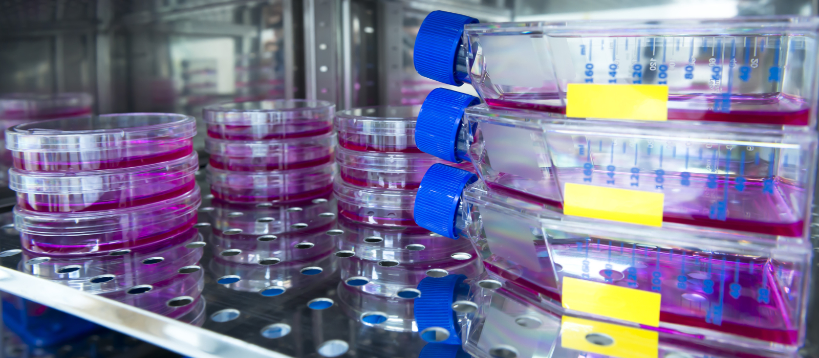 TSA 3P® Environmental Monitoring Media | American Pharmaceutical Review ...