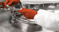 A Novel Downstream Monoclonal Antibody Purification Template to Address ...