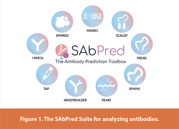 Structural Information to Aid in silico Therapeutic Antibody Design ...