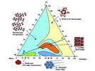 Strategies to Formulate Lipid-based Drug Delivery Systems | American ...