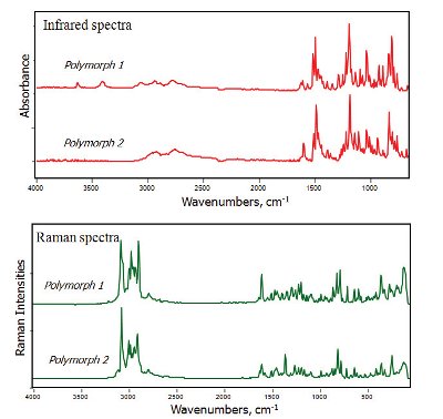 Understanding Infrared and Raman Spectra of Pharmaceutical Polymorphs ...