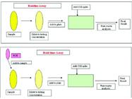 Creation of an In-house Naturally Occurring Endotoxin Preparation for ...