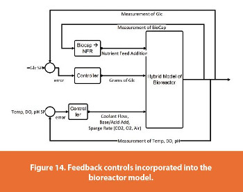 Hybrid Model Identification for Monoclonal Antibody Production ...