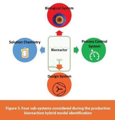 Hybrid Model Identification for Monoclonal Antibody Production ...