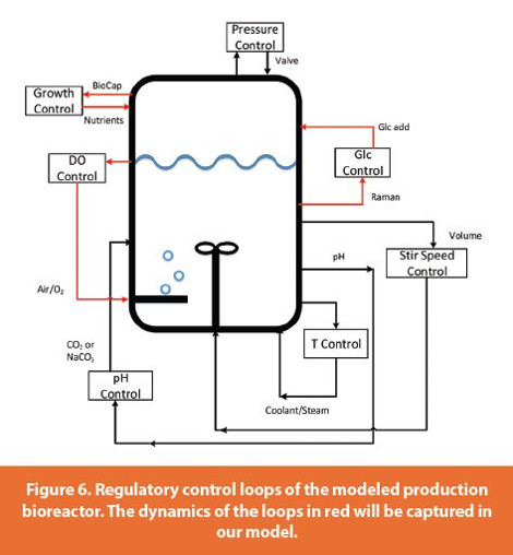 Hybrid Model Identification for Monoclonal Antibody Production ...
