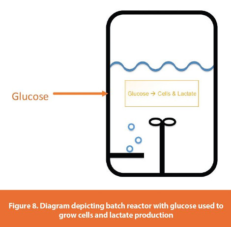 Hybrid Model Identification for Monoclonal Antibody Production ...