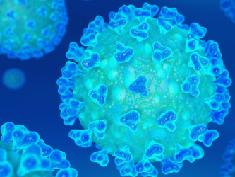 Microbiology Microbiology | American Pharmaceutical Review