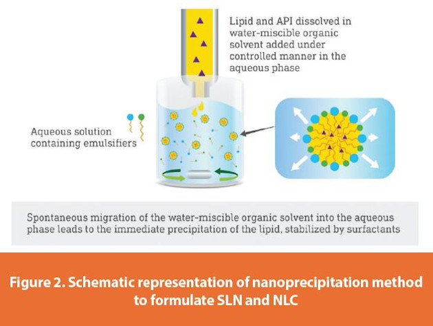 Solid Lipid Nanocarrier Development Toolbox for Increasing Oral ...