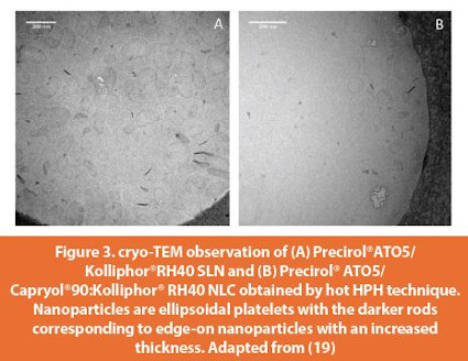 Solid Lipid Nanocarrier Development Toolbox for Increasing Oral ...