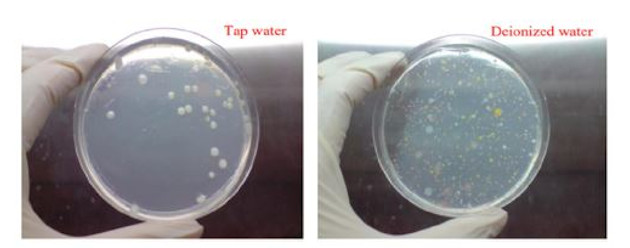 LAL and rFC Comparison Study Caveats | American Pharmaceutical Review ...