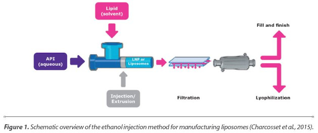 Harnessing Synthetic Lipids for Drug Development: Strategies for ...