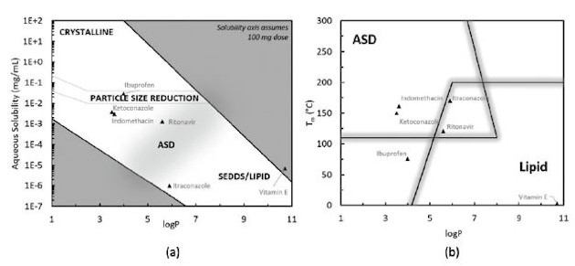 Considerations for the Development of Amorphous Solid Dispersions of ...