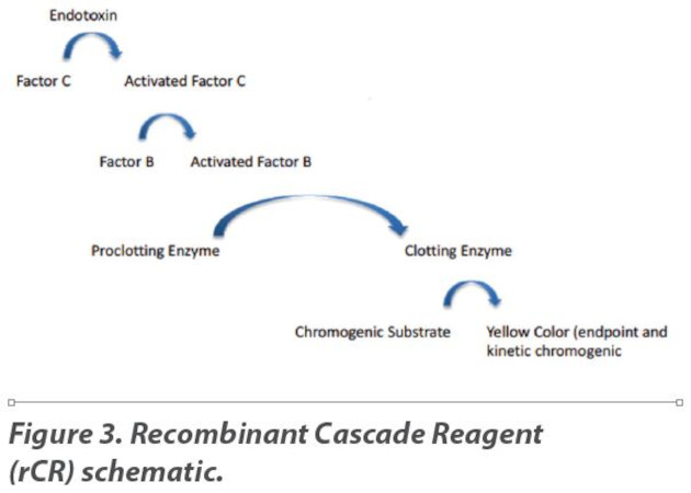 Functional Challenges for Alternative Bacterial Endotoxins Tests Part 1 ...
