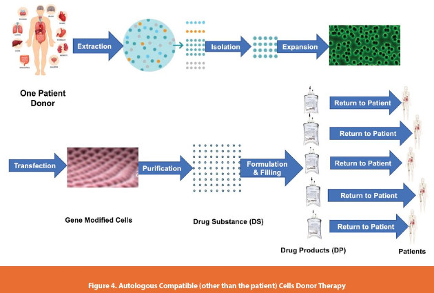 Process Steps from Cell-Line Preparation to Manufacture of Personalized ...