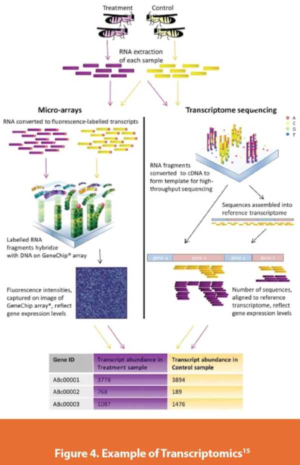 Advances in Microbial Identification and the Microbiome | American ...