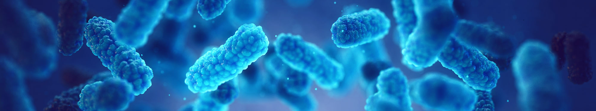 Spectroscopy Microbial Identification Systems: What to look for when ...