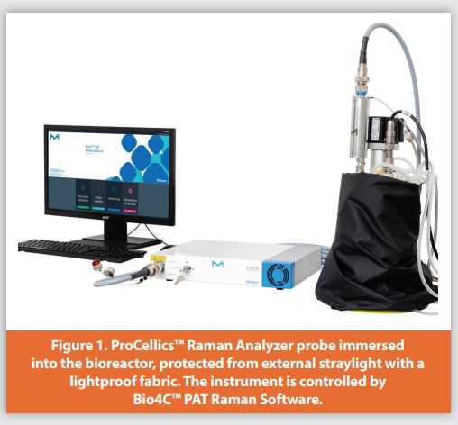 In-Line Real-Time Monitoring of CHO Cell Culture Process Parameters ...