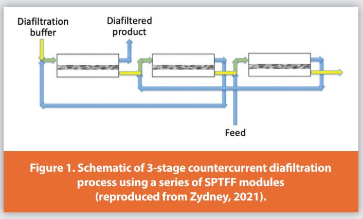 Single Pass Tangential Flow Filtration for Process Intensification in ...
