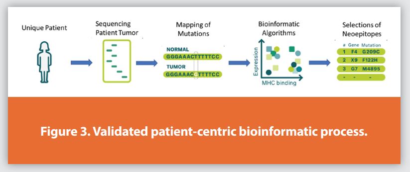 The Promise and Challenges of mRNA Vaccine Development | American ...