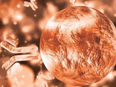 Antibody-Drug Conjugates (ADCs): Potent Cancer Killers with PK ...