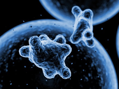 Advances in Recombinant Adeno-Associated Virus Production for Gene ...