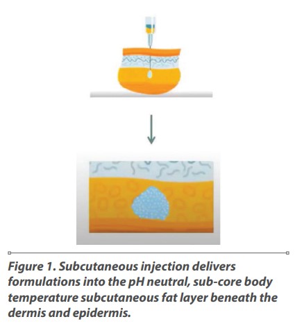The Impact of Injection: Representative In Vitro Testing for ...